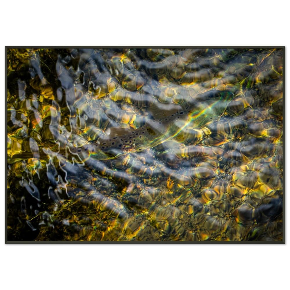 Trout Wall Art Photo - Etsy