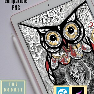 Doodle Art Owl 1 Colouring Poster - Etsy