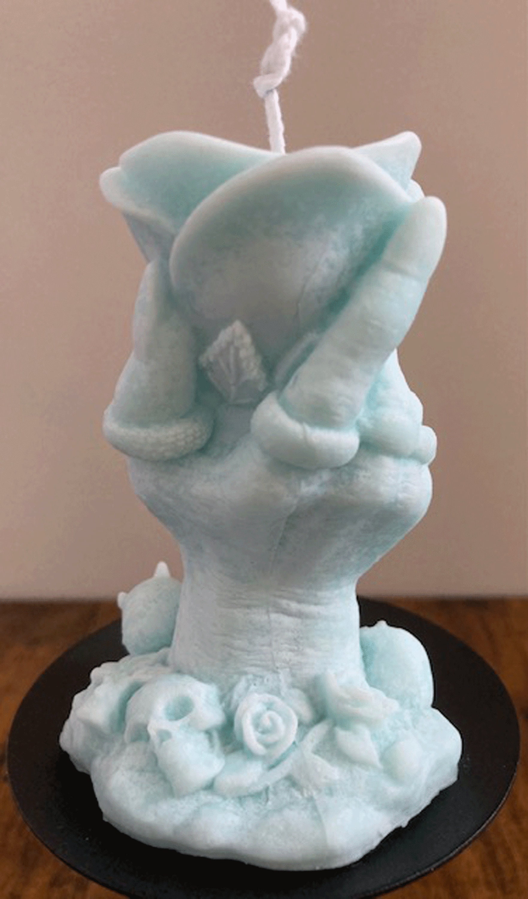 Hand Holding Rose With Skulls and Cross Bones Candle, Adams Family Hand ...