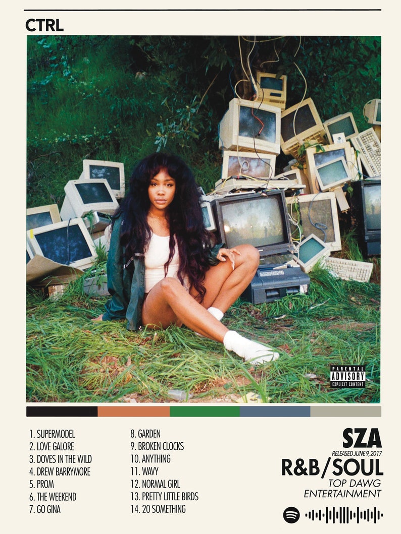 SZA Ctrl Wall-art, Wall Print Album Art Custom Music Artist Print ...