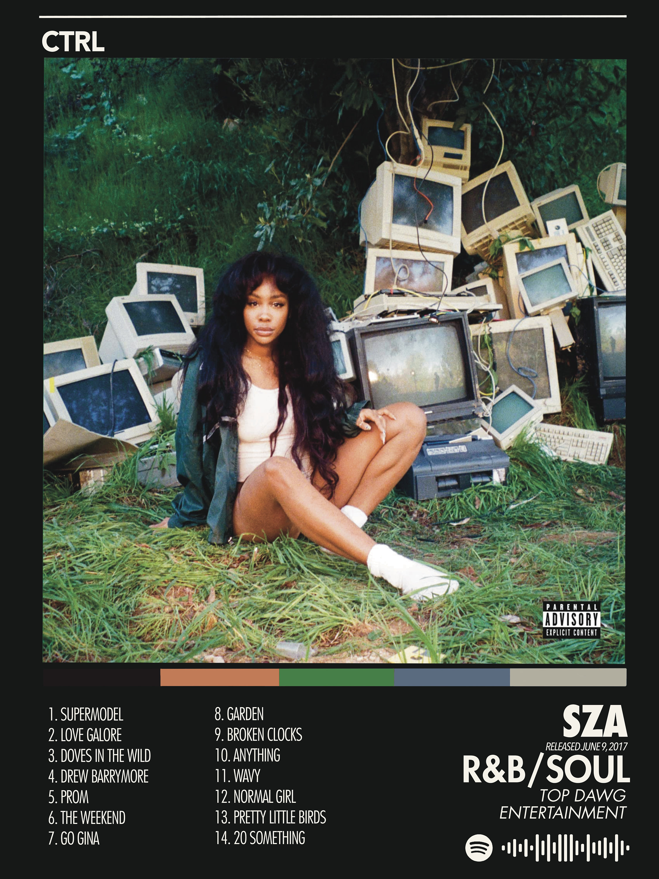 SZA Ctrl Wall-art Wall Print Album Art Custom Music - Etsy Australia