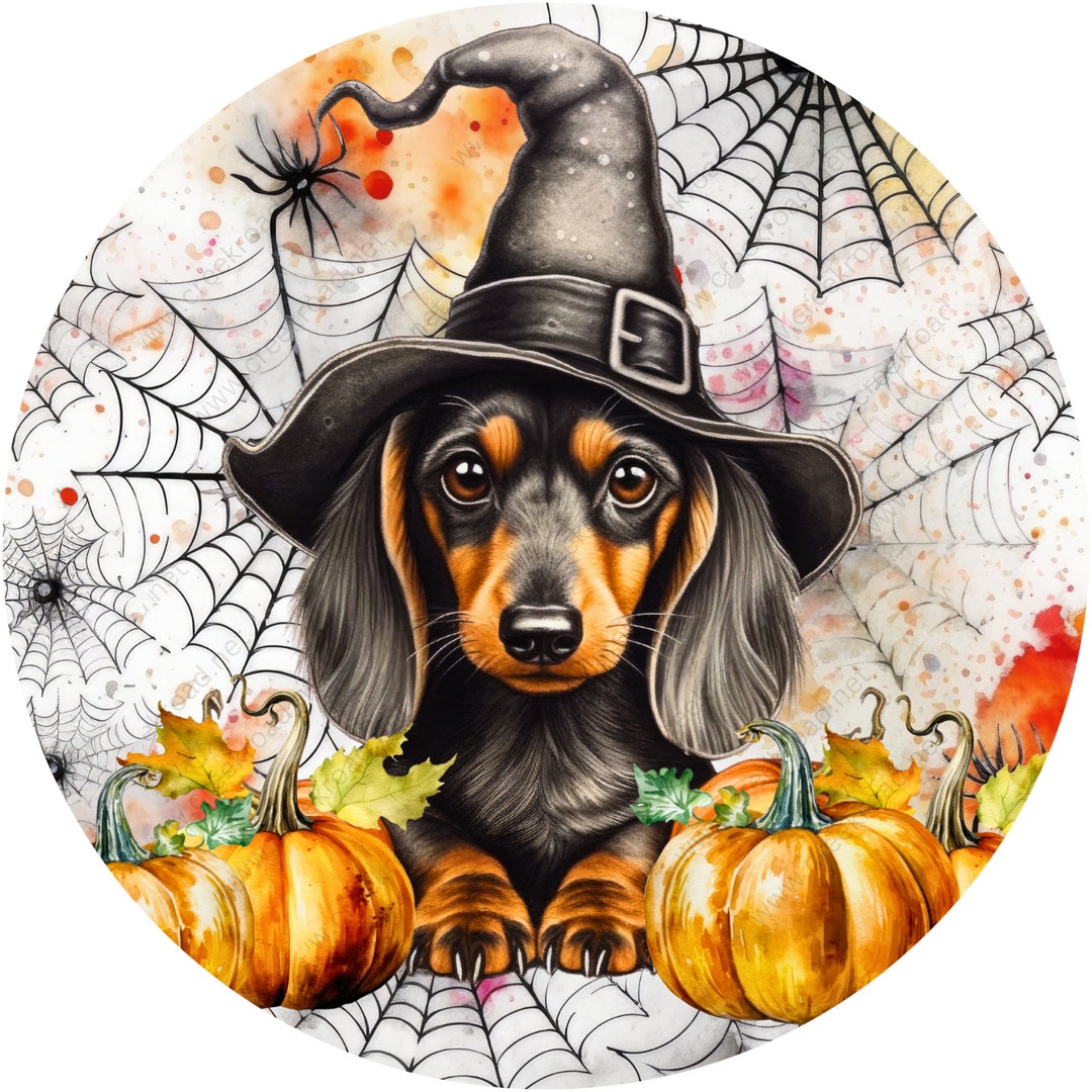 Dachshund in Witches Hat Pumpkins Spider Webs Wreath Sign-halloween ...