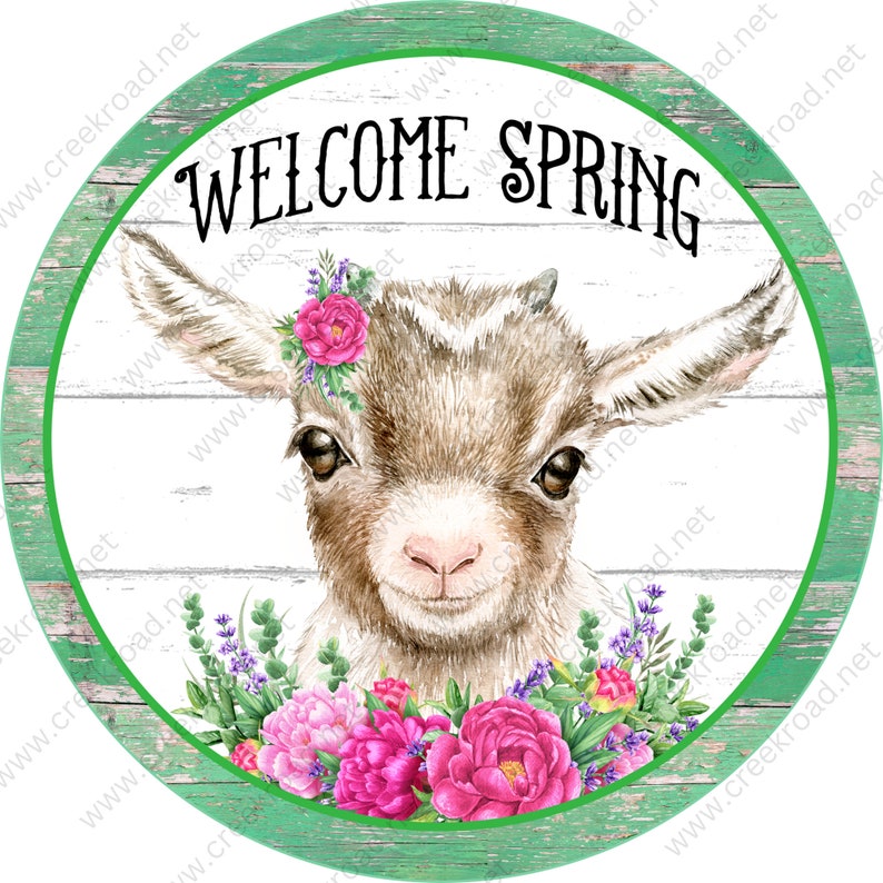 Welcome Spring Goat With Pink Purple Flowers on Distressed Green ...