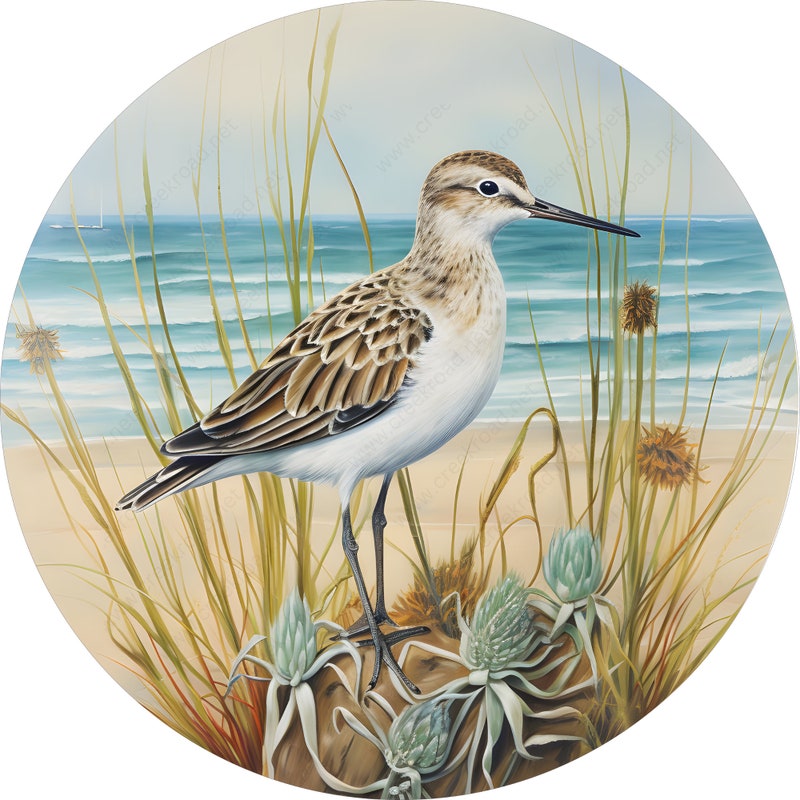 Sand Piper Paintings - Etsy