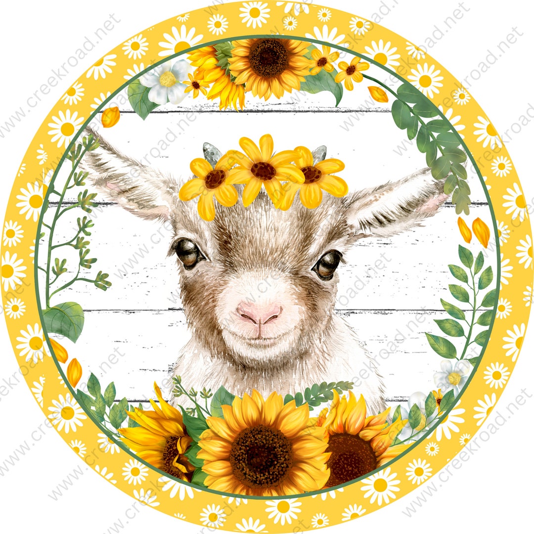Spring Goat With Sunflowers on Distressed Shiplap Background Yellow ...