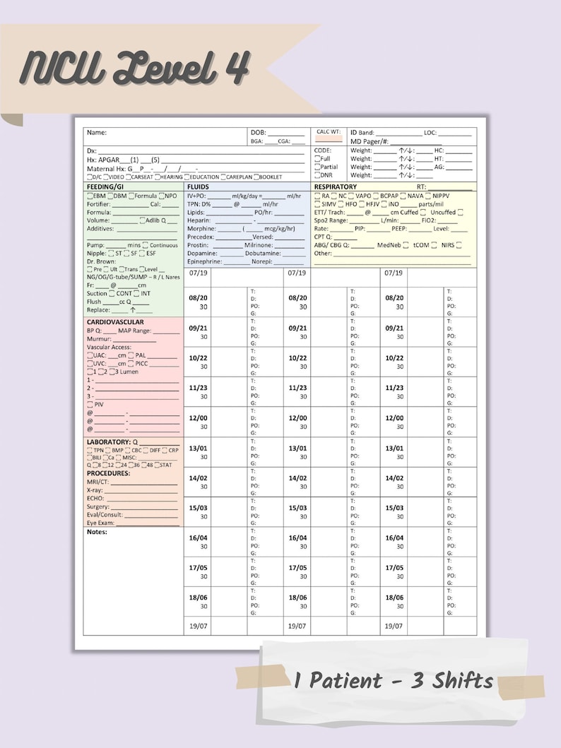 NICU Level 4 Report Sheet/ Brain - Etsy