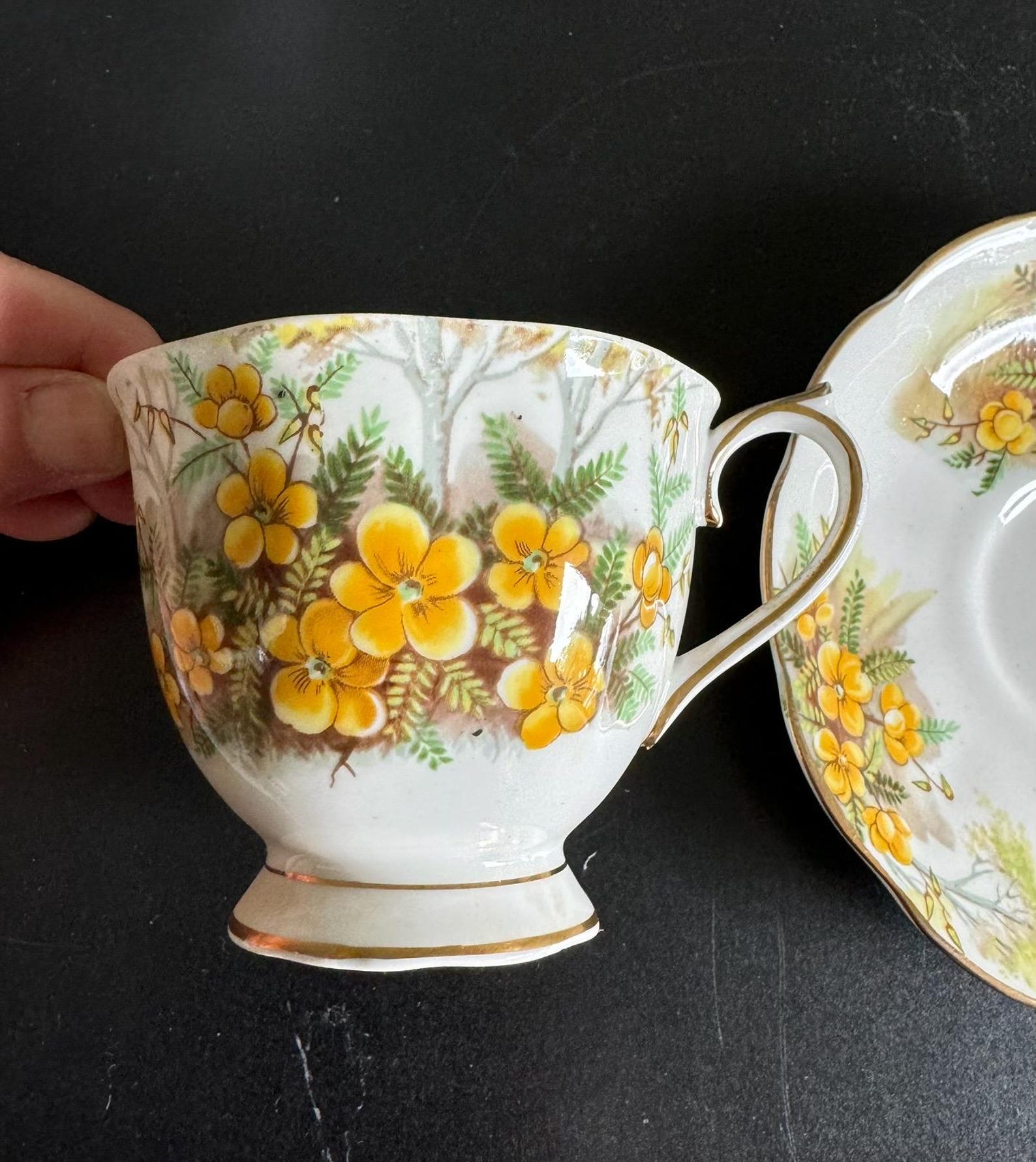 Vintage Royal Albert Bone China Yellow Flower 'partridge Pea' Cup ...