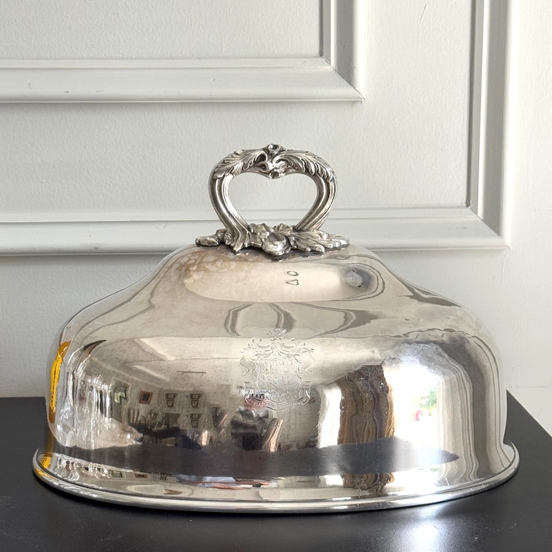 Silver Food Cover Dome - Etsy