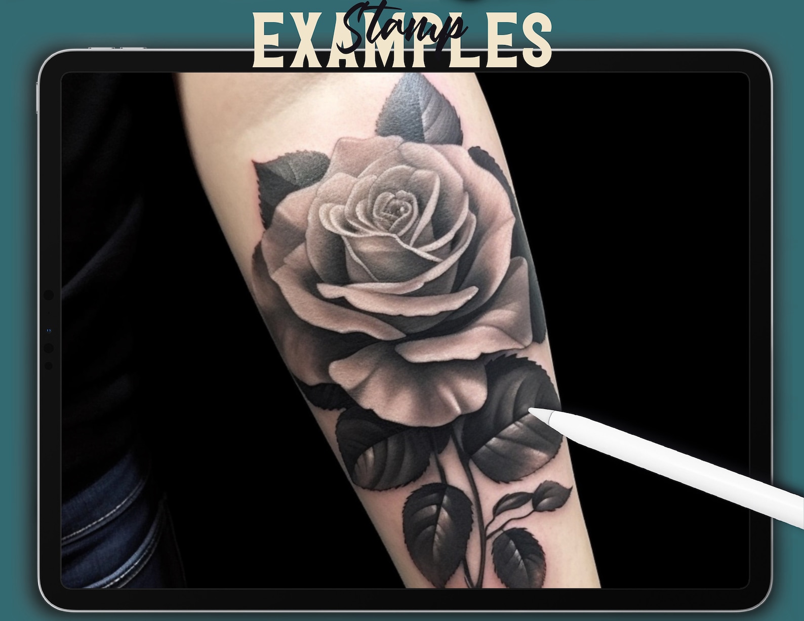 100 Realistic Rose Procreate Stamps, Rose Reference Brushes for ...