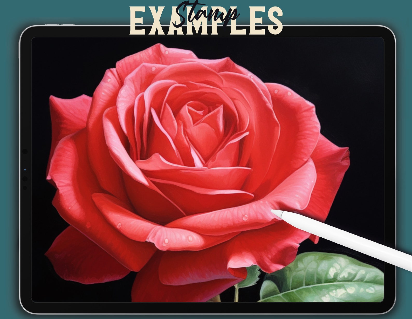 100 Realistic Rose Procreate Stamps, Rose Reference Brushes for ...