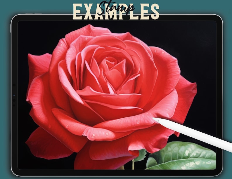 100 Realistic Rose Procreate Stamps, Rose Reference Brushes for ...