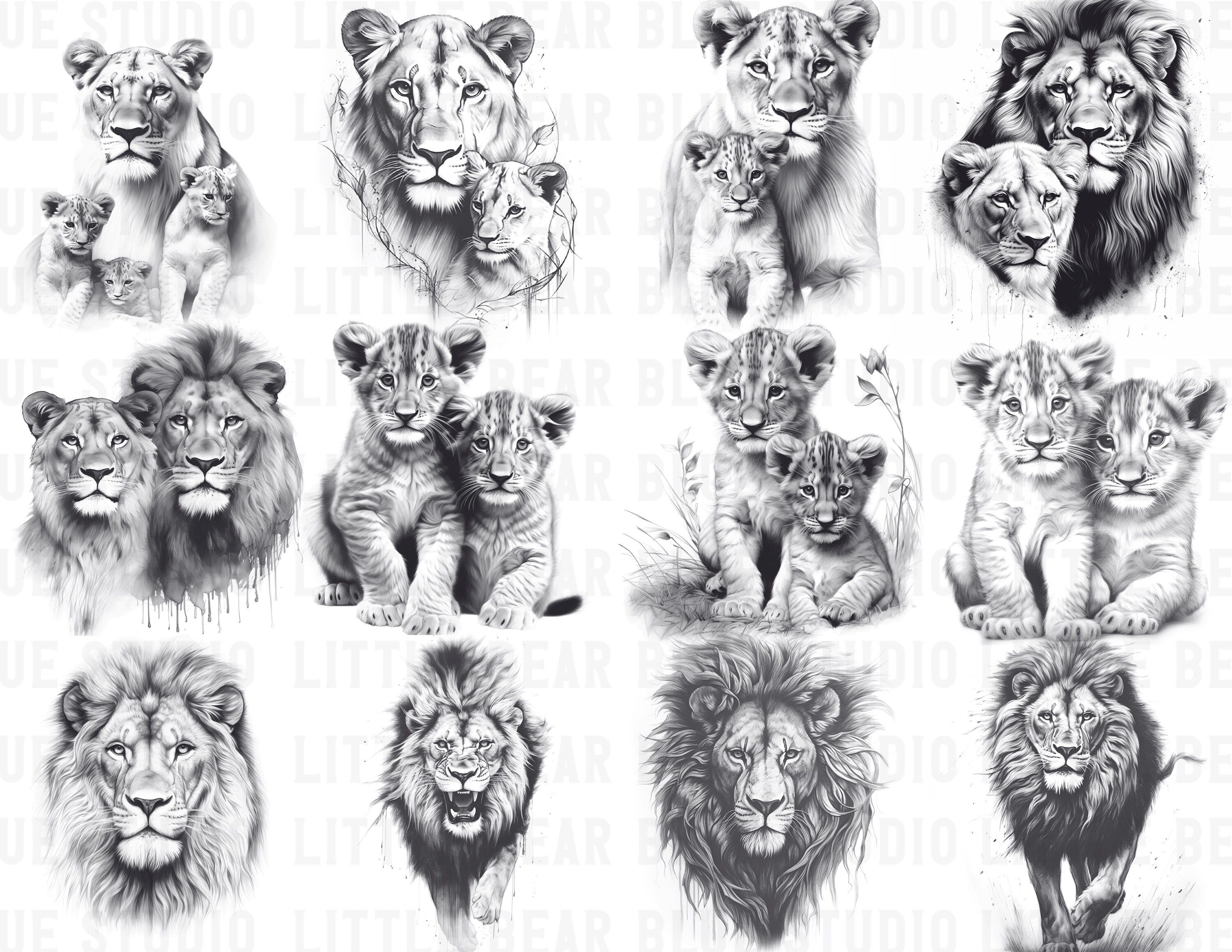 100 Realistic Lion Procreate Stamp Brushes, Lion Portrait Tattoo Stamps ...