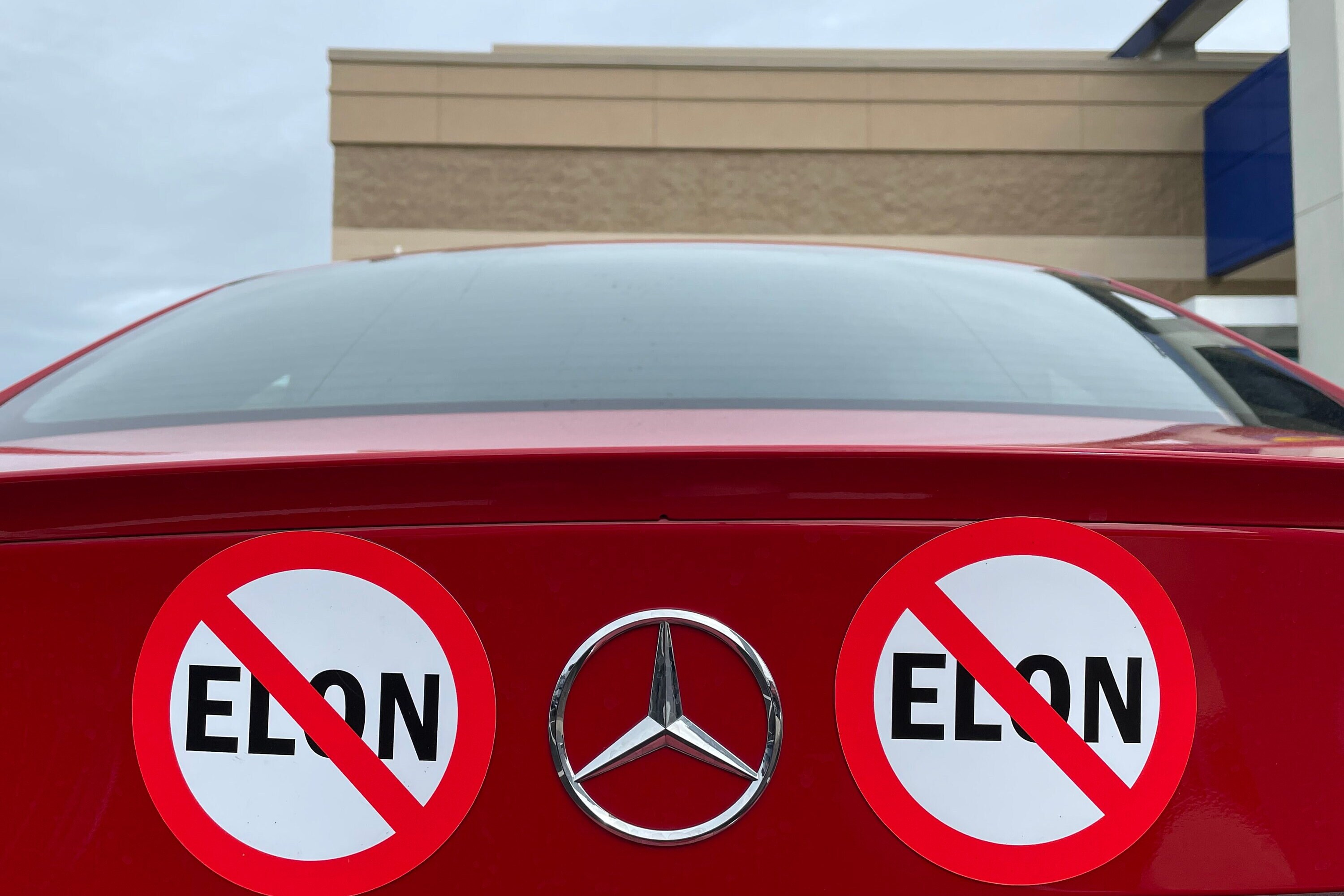 Anti-elon Magnet: Red Symbol, Black Text (5-inch Diameter) - Etsy