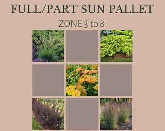 Full Sun Zones - Etsy