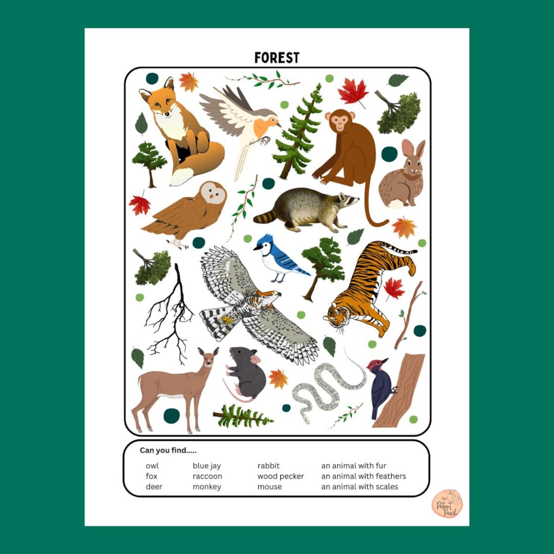 Printable Look-and-find Ispy Game for Kids, Biology, Ecology, Biome ...