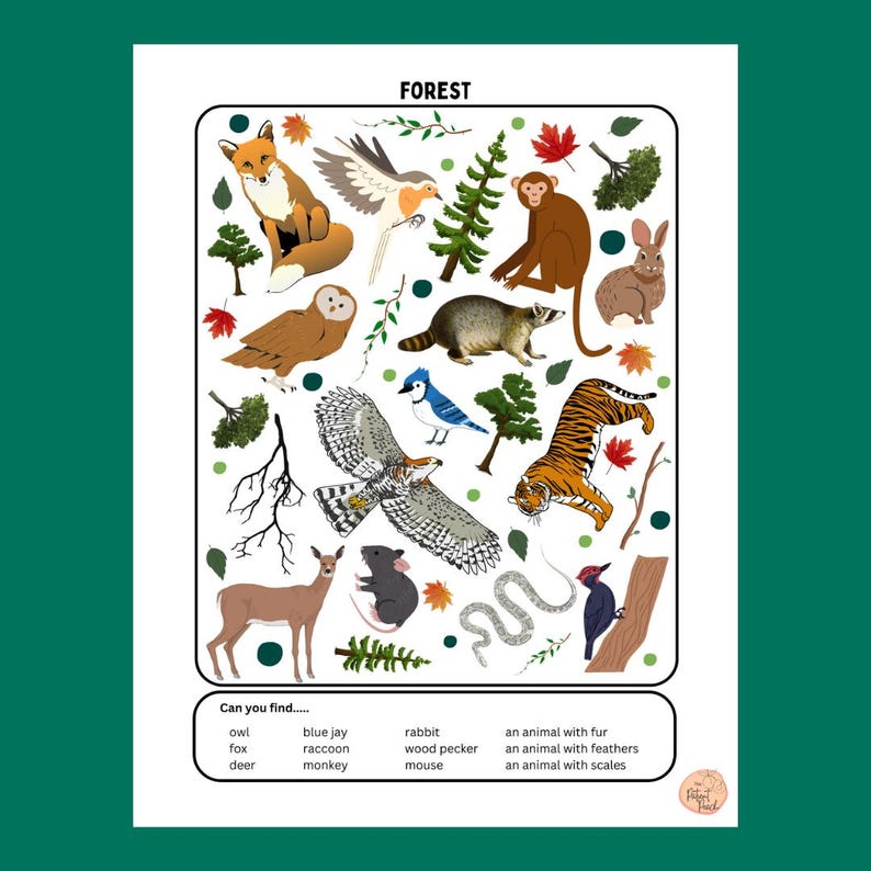 Printable Look-and-find Ispy Game for Kids, Biology, Ecology, Biome ...