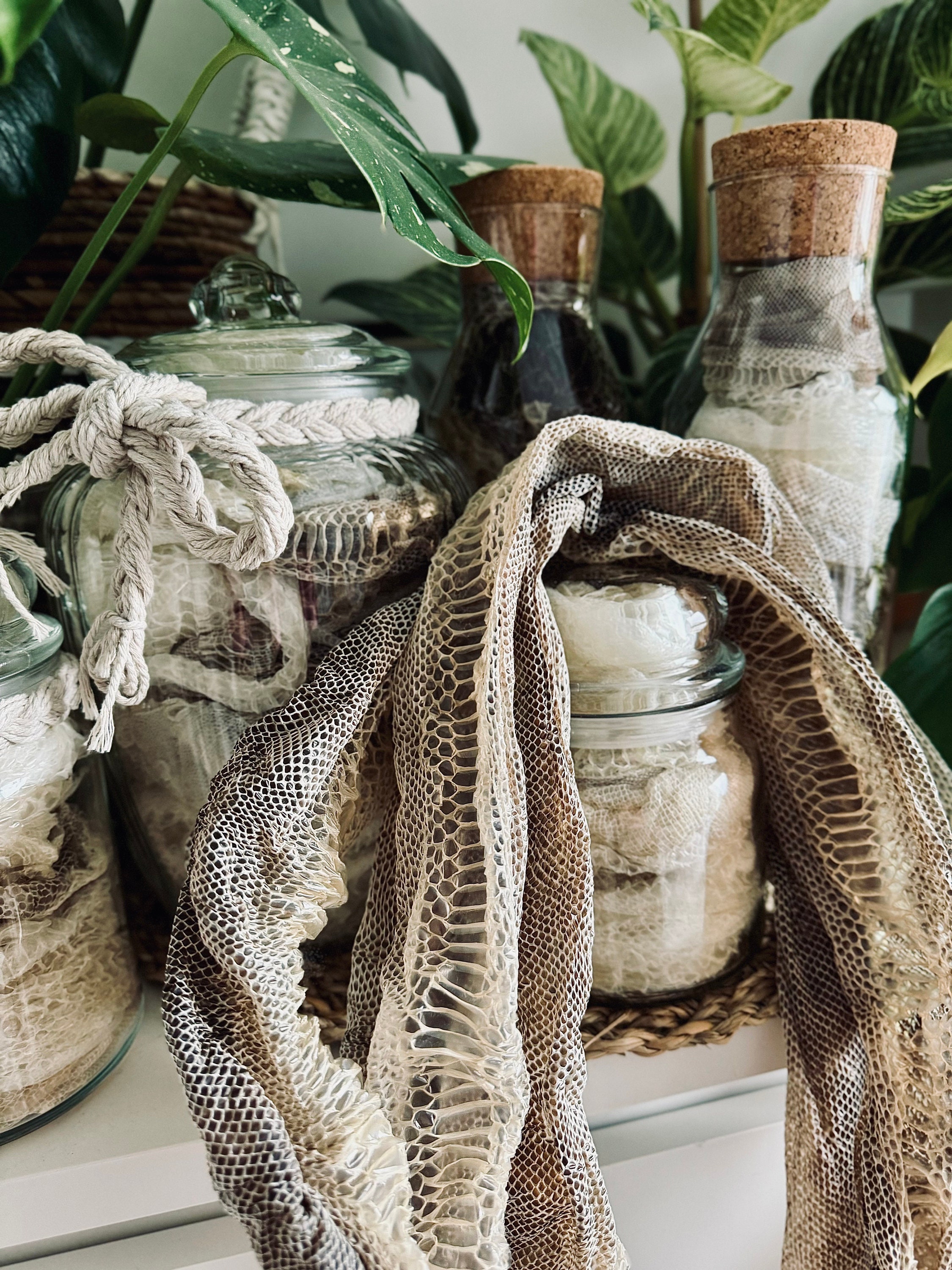 Snake Skin Snake Shed Cutoff Pieces Jewelery Voodoo Spells Witchcraft ...