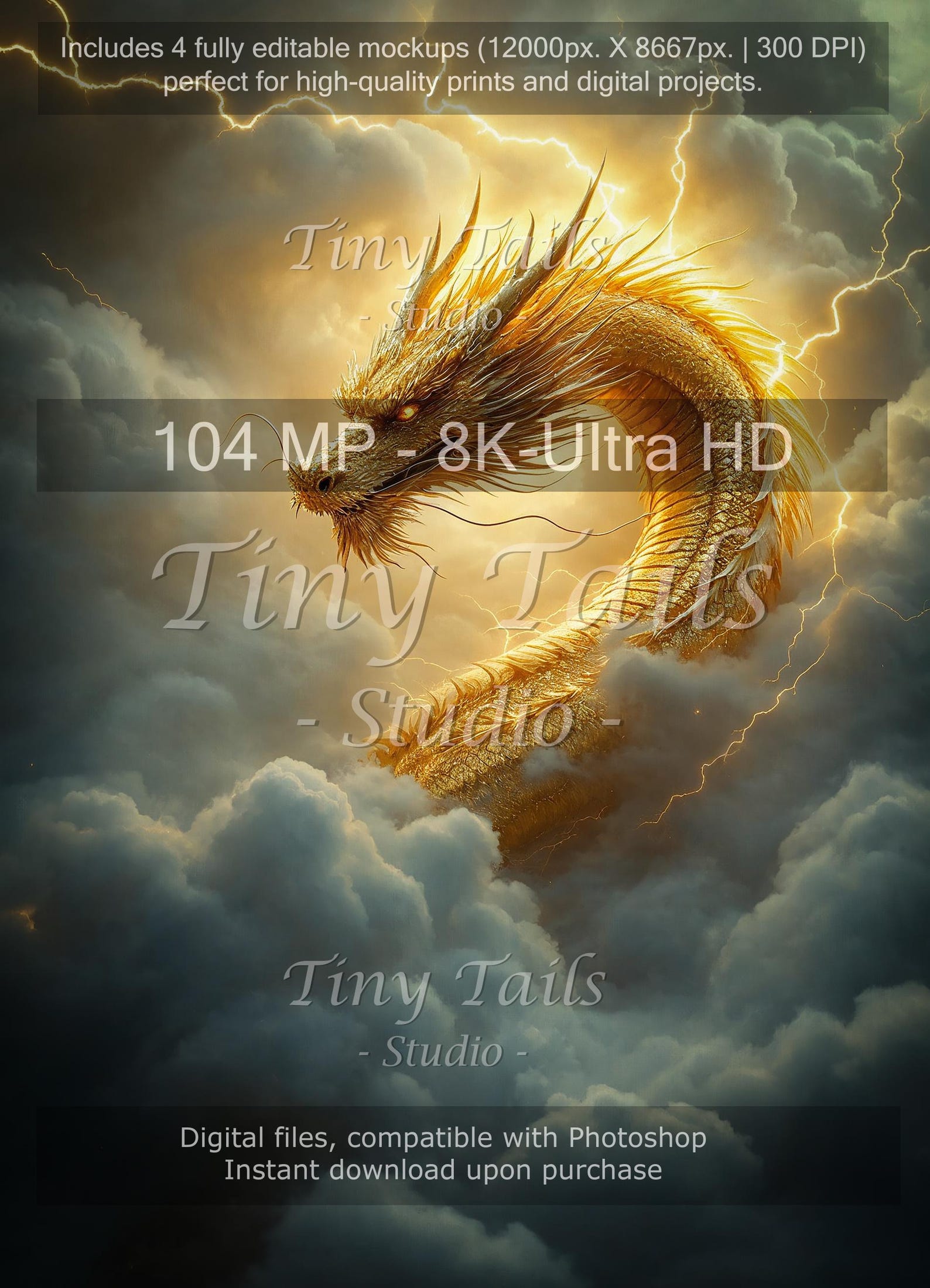 Set of 4 - Unique Storm Dragon Art Bundle - Celestial Fantasy Digital Download | High-res ...