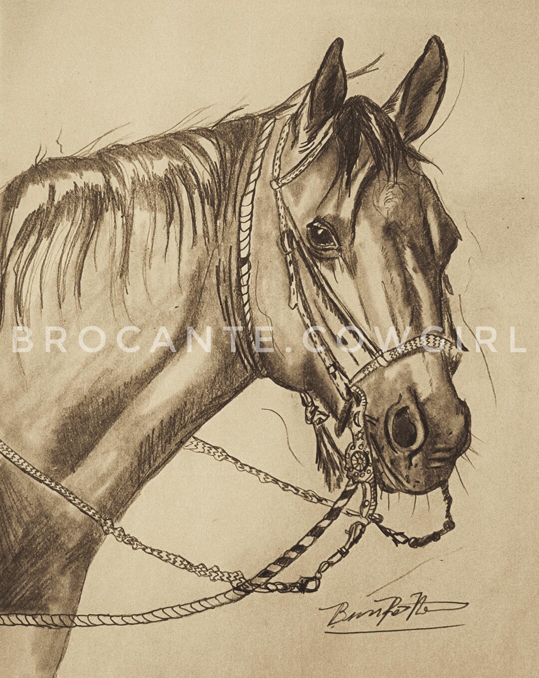 Concho- Sketch Horse Art Original Drawing Print 8x10 - Etsy