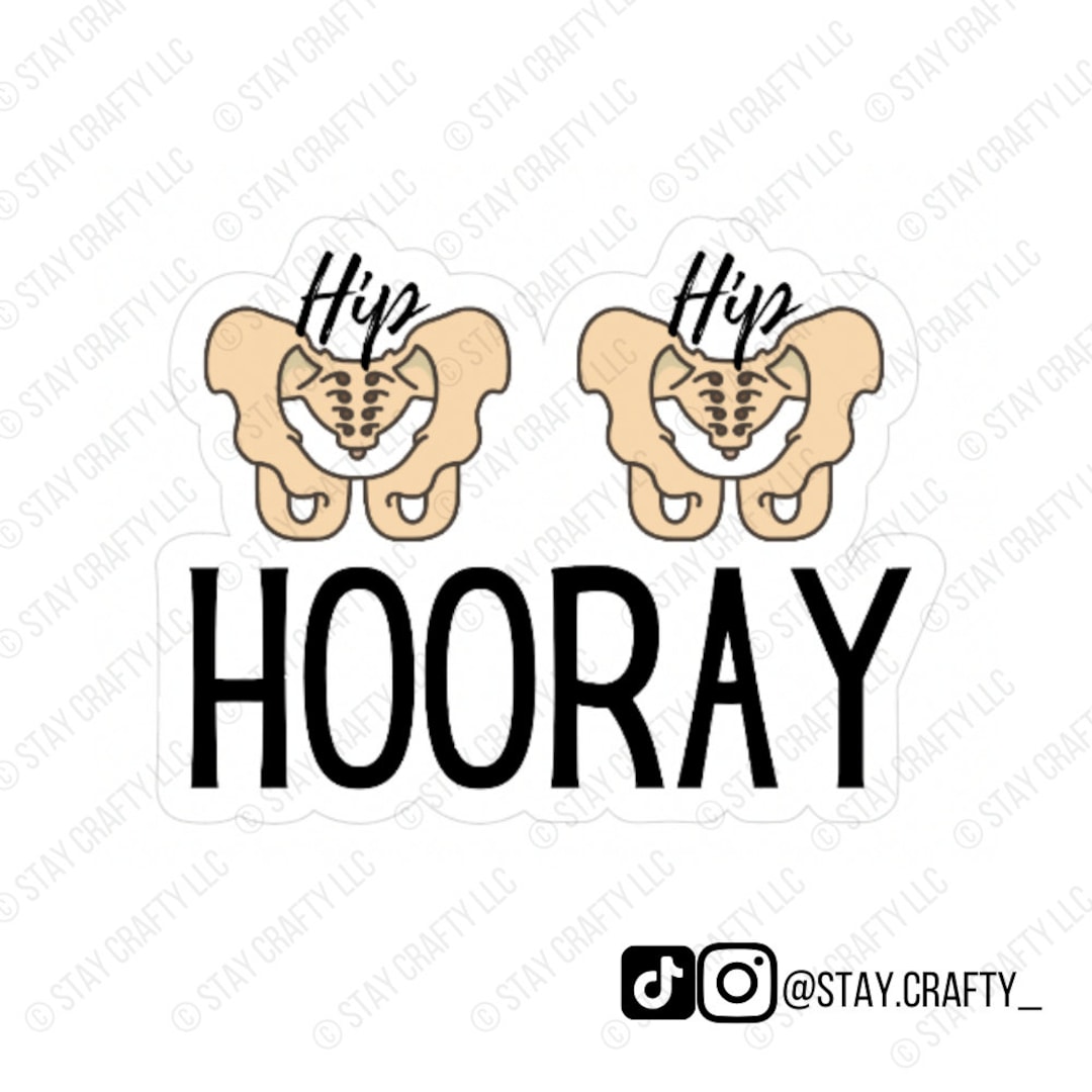Hip Hip Hooray- Funny Anatomy Pun Sticker - Etsy
