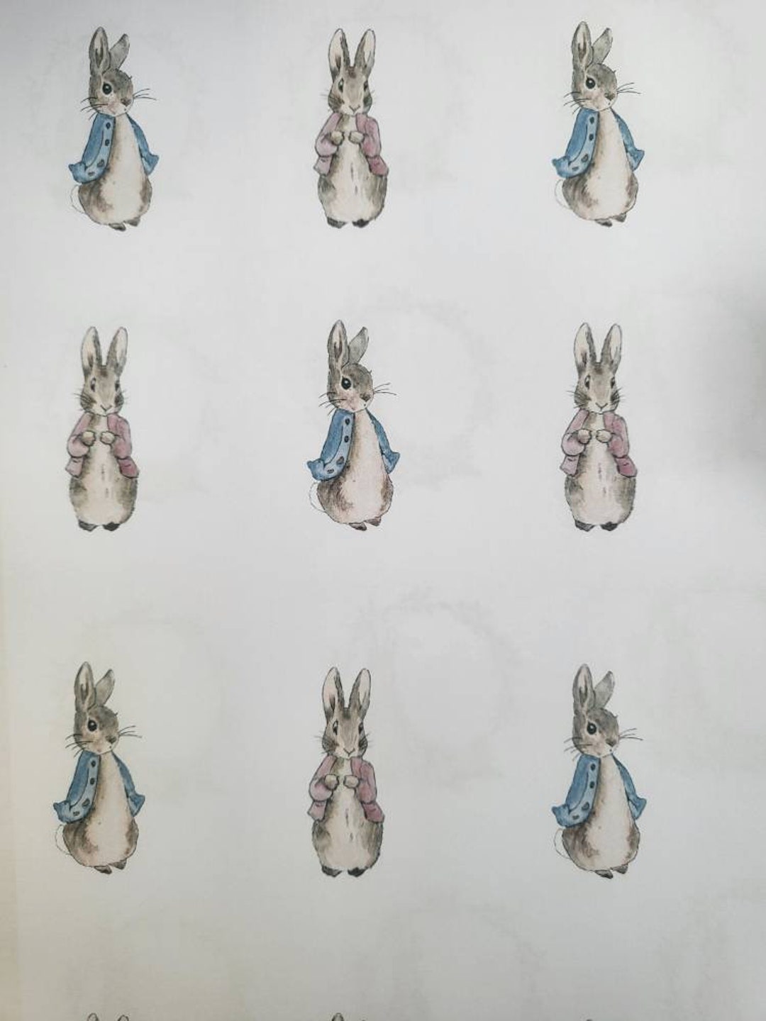 12x 2inch Disc Peter Rabbit Birthday Babyshower Cake Toppers - Etsy