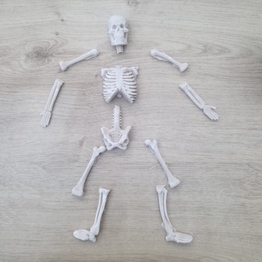 1 X Edible Skeleton Cake Topper Various Colours Available - Etsy