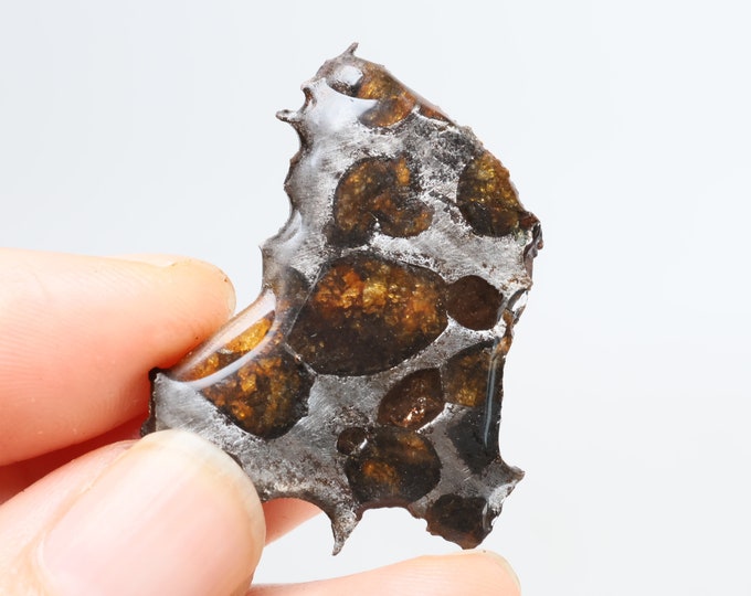 Pallasite Meteorite Slicemeteorite Slicegift, Collection, Specimen From ...