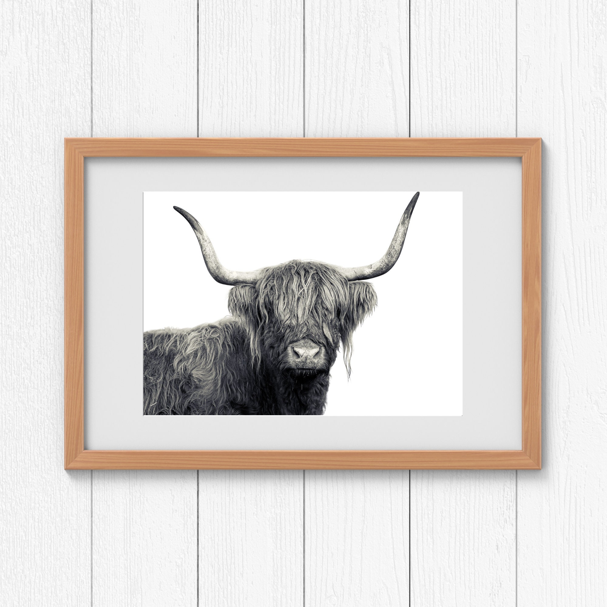 Highland Cow Print - Printable Wall Art - Black & White, Cozy Room ...