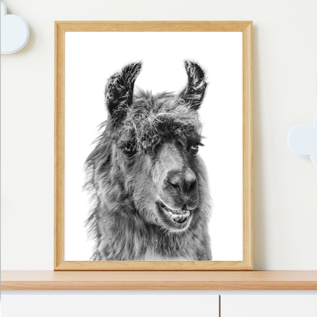 Alpaca Wall Art - Nursery Wall Decor, Farmhouse Wall Art, Cozy Decor ...