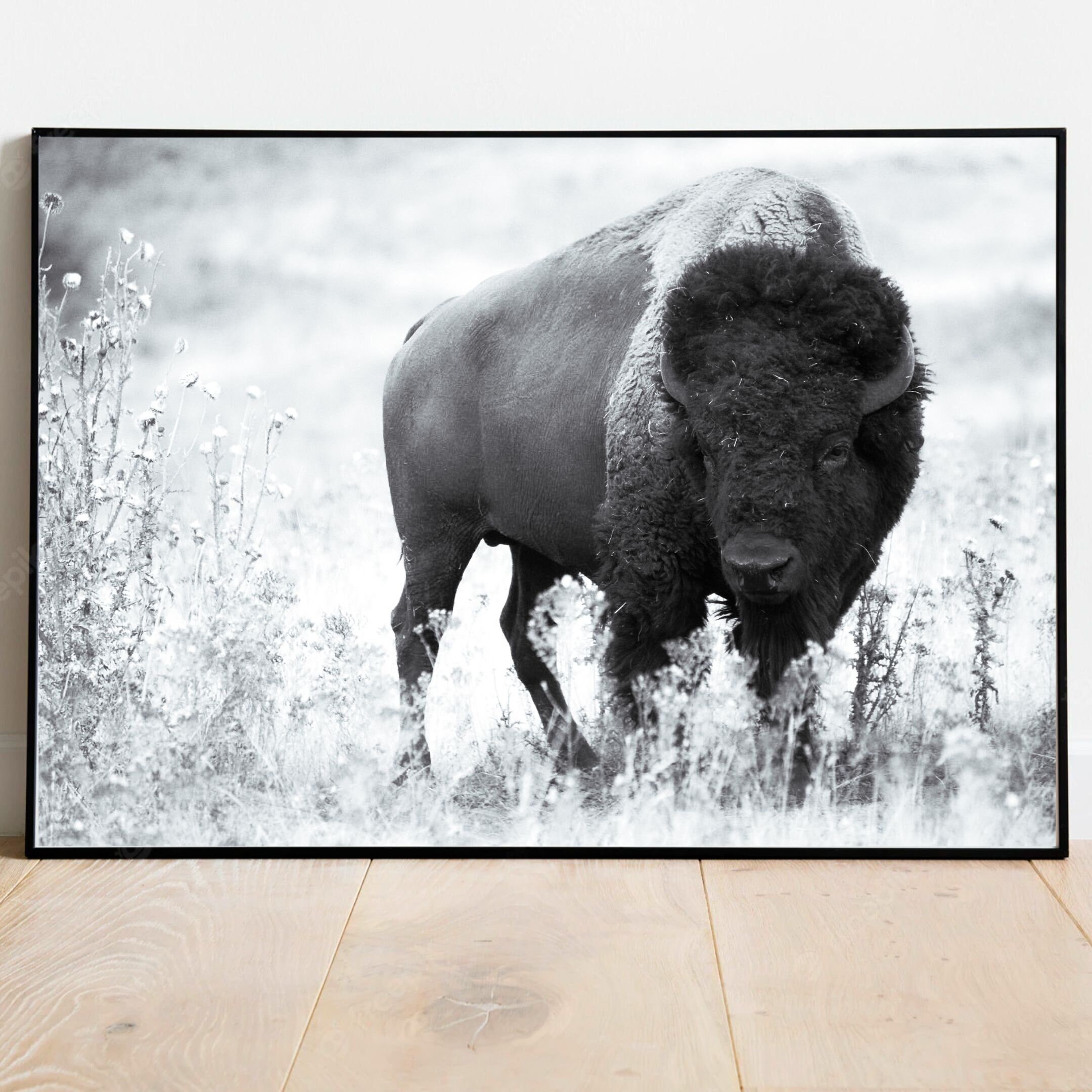 Buffalo Print - Gorgeous, Black & White Bison Buffalo Photography ...