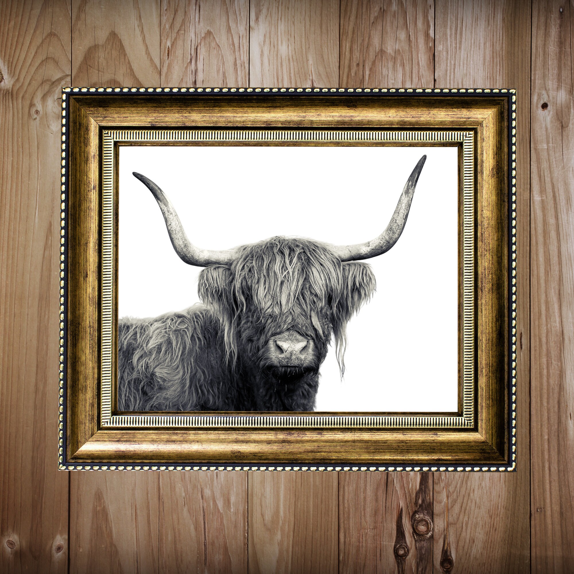 Highland Cow Print - Printable Wall Art - Black & White, Cozy Room ...