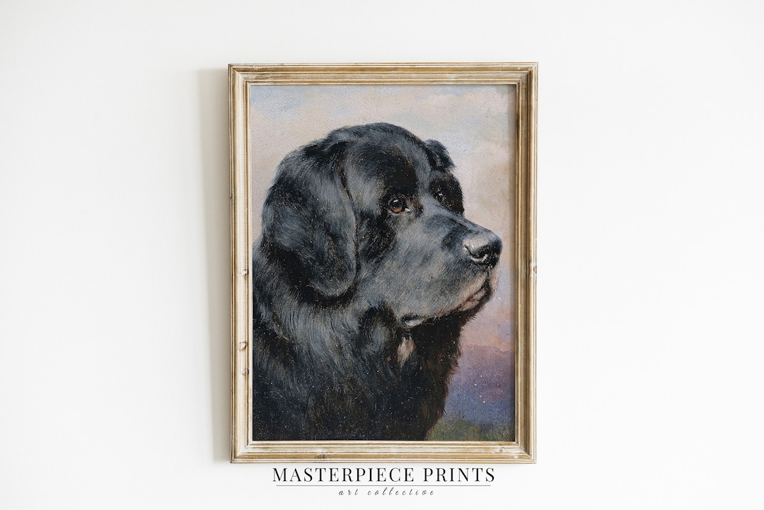 Vintage Newfoundland Dog Portrait, Pet Portrait Dog Painting, Antique ...