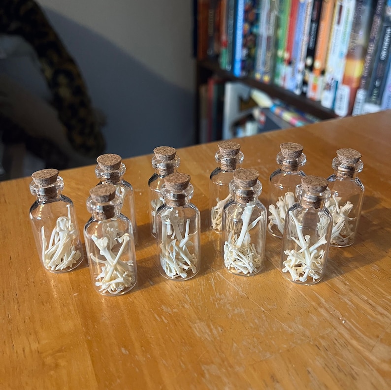 Vial of Bones | Assorted Small Animal Bones Picked From Owl Pellets in ...
