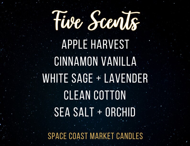 Capybara Gift Cute Capybara Candle Pull up Capybara - Etsy