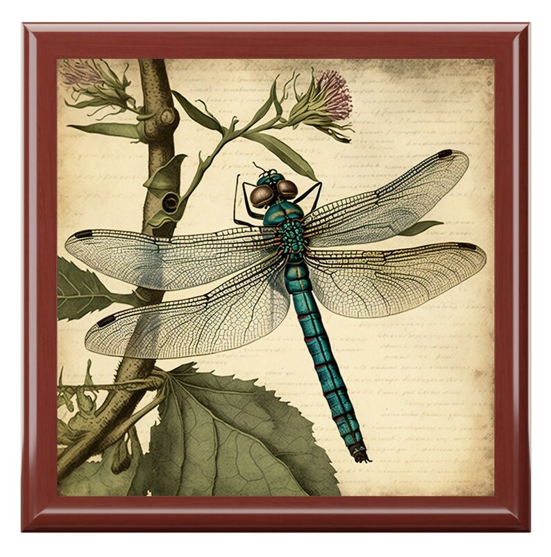 Vintage Dragonfly Box - Etsy