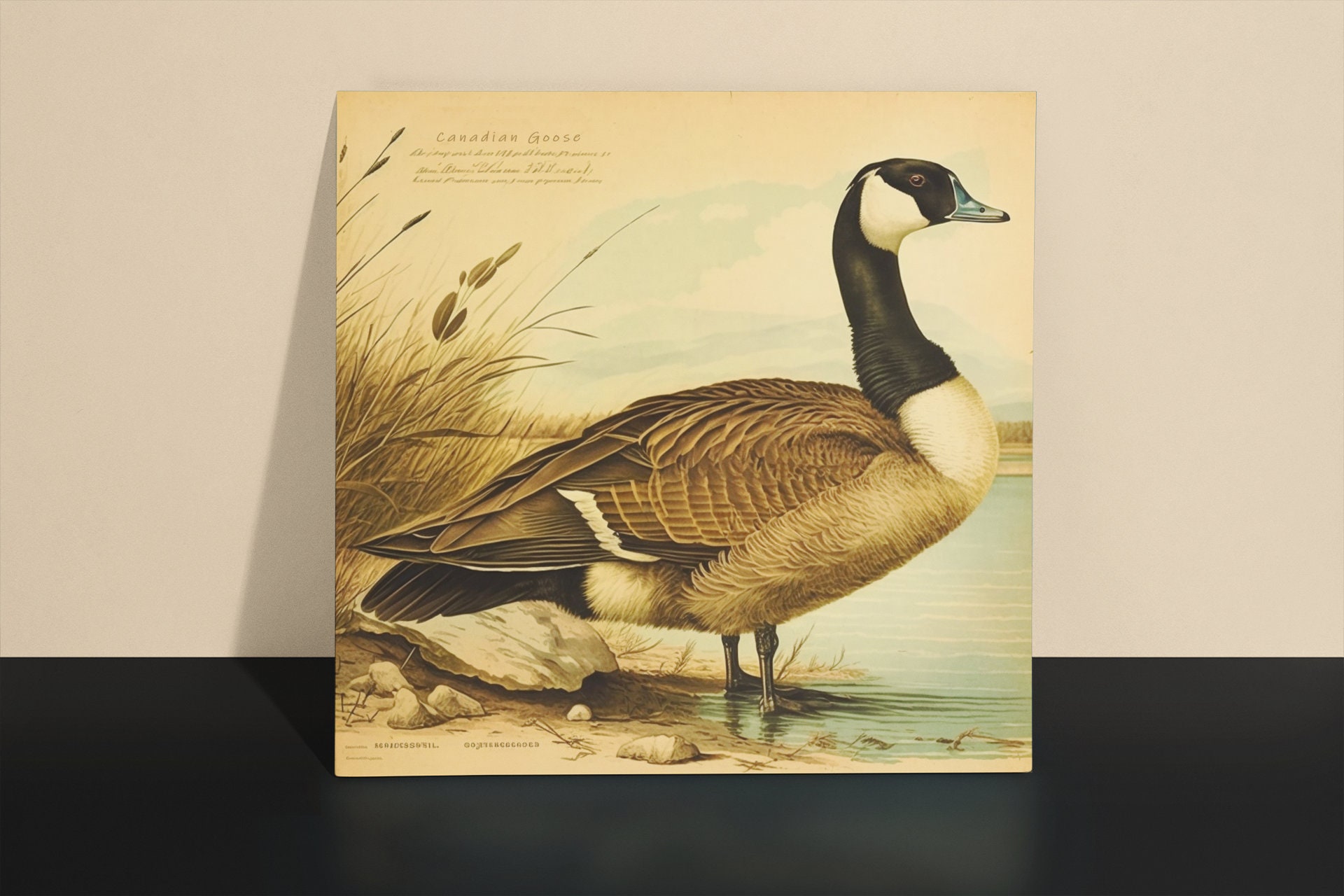 Canadian Goose Print, Clipart, PNG, Printable Digital Download ...