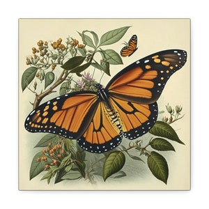 Monarch Butterfly Vintage Antique Retro Canvas Wall Art This Art Print ...