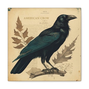 Crow Vintage Antique Retro Canvas Wall Art This Art Print Makes the ...