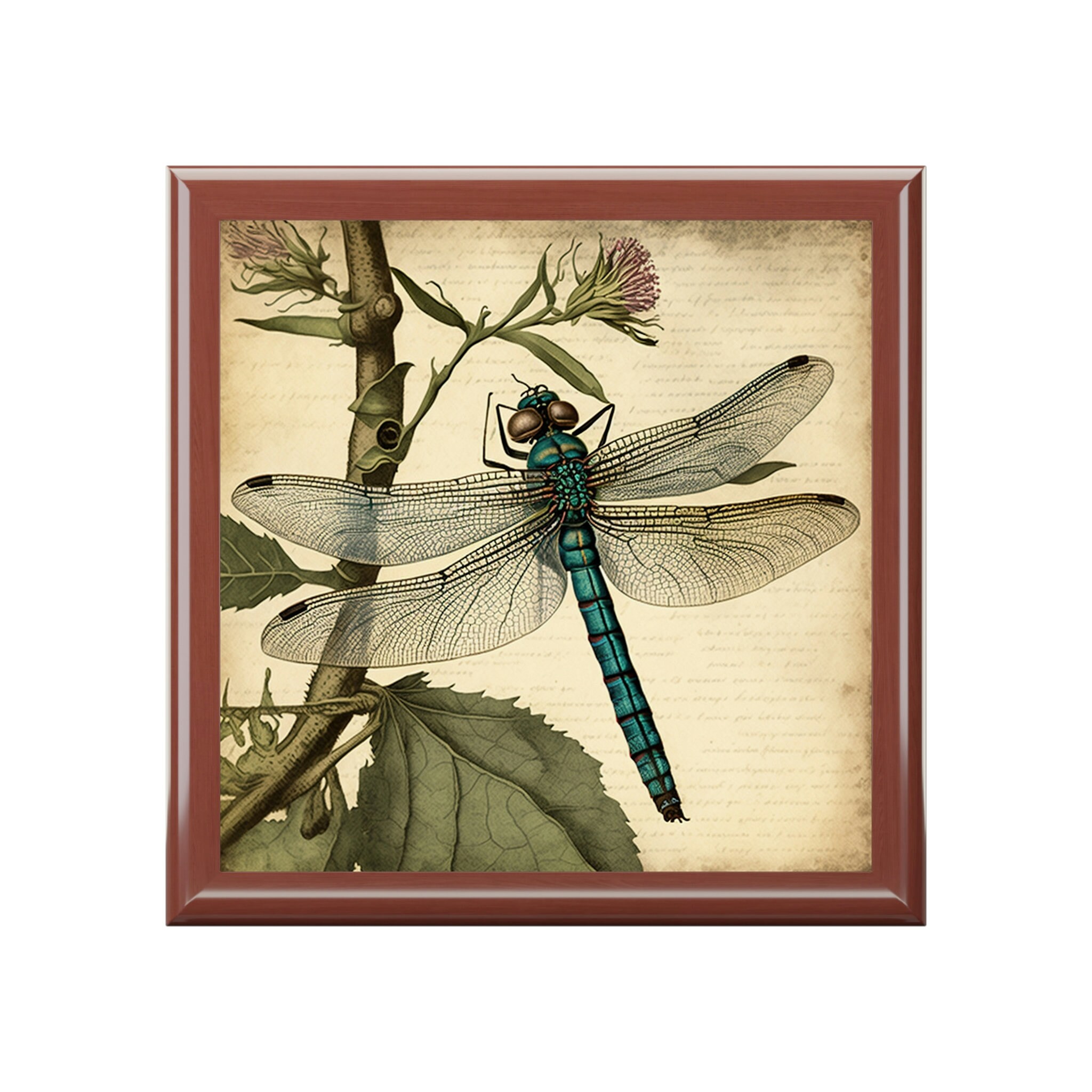 Vintage Dragonfly Box - Etsy