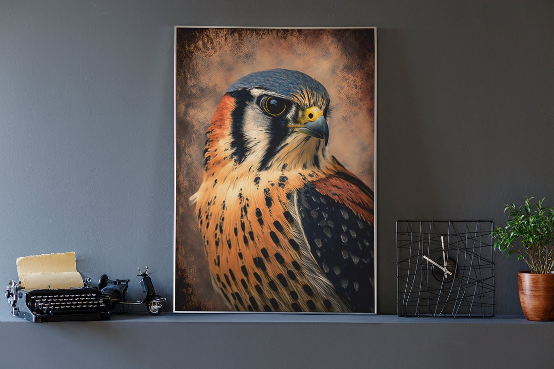 Kestrel Print, Clipart, PNG, JPG, Printable Digital Download ...