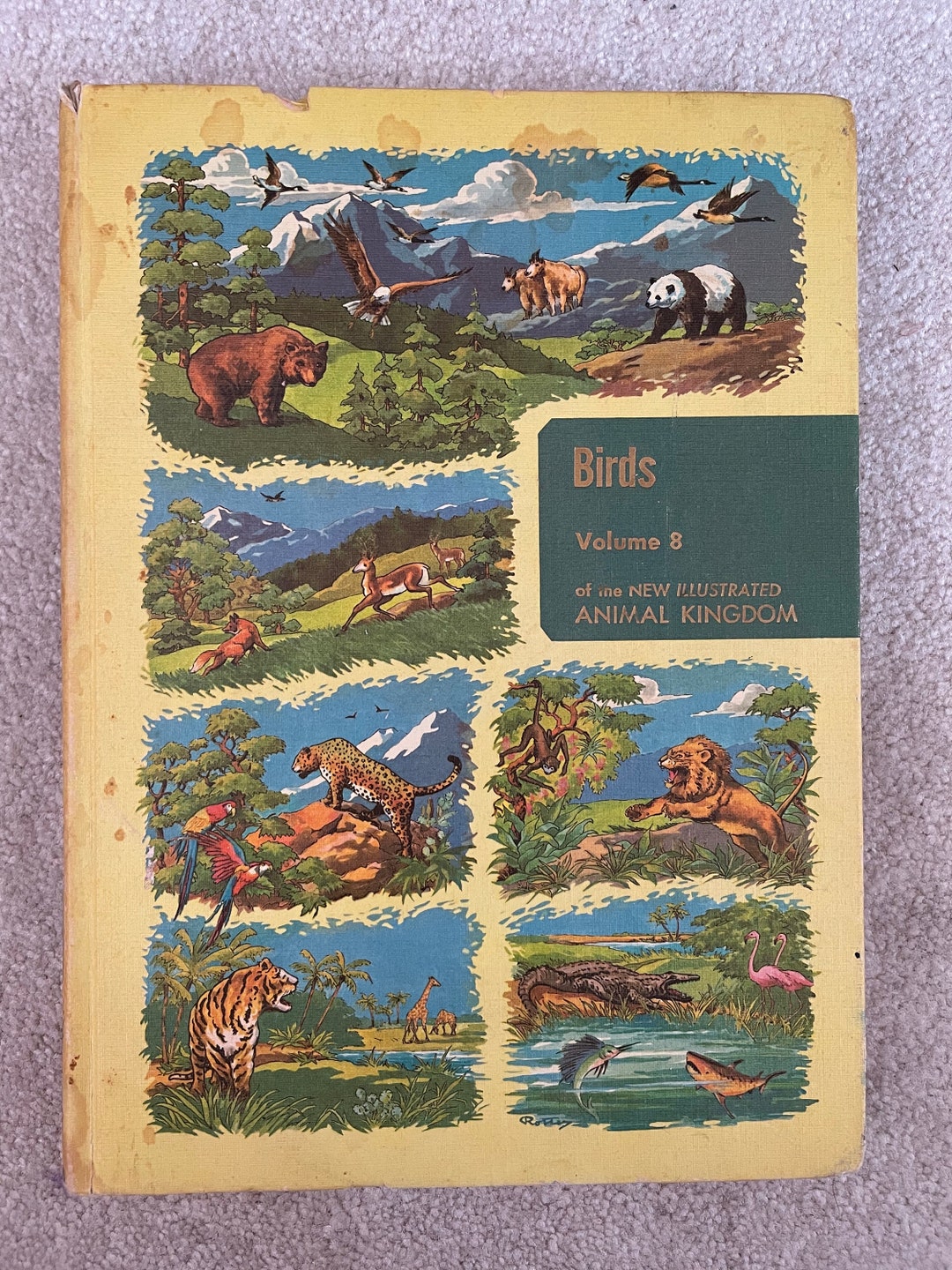 Vintage 1960s Hardcover Book Birds Volume 8 of the New Illustrated ...