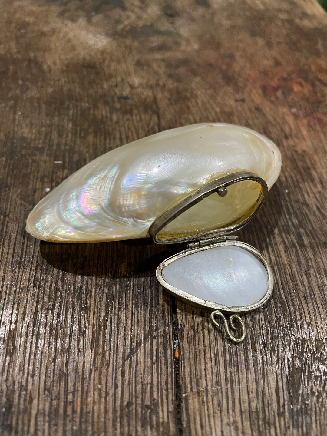 Vintage 1960s Antique Mother of Pearl Shell Box Silver Seashell 60s ...