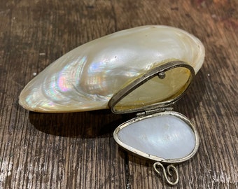 Antique Mother of Pearl Snuff or Pill Box, Opalescent Shell Hinged Box ...