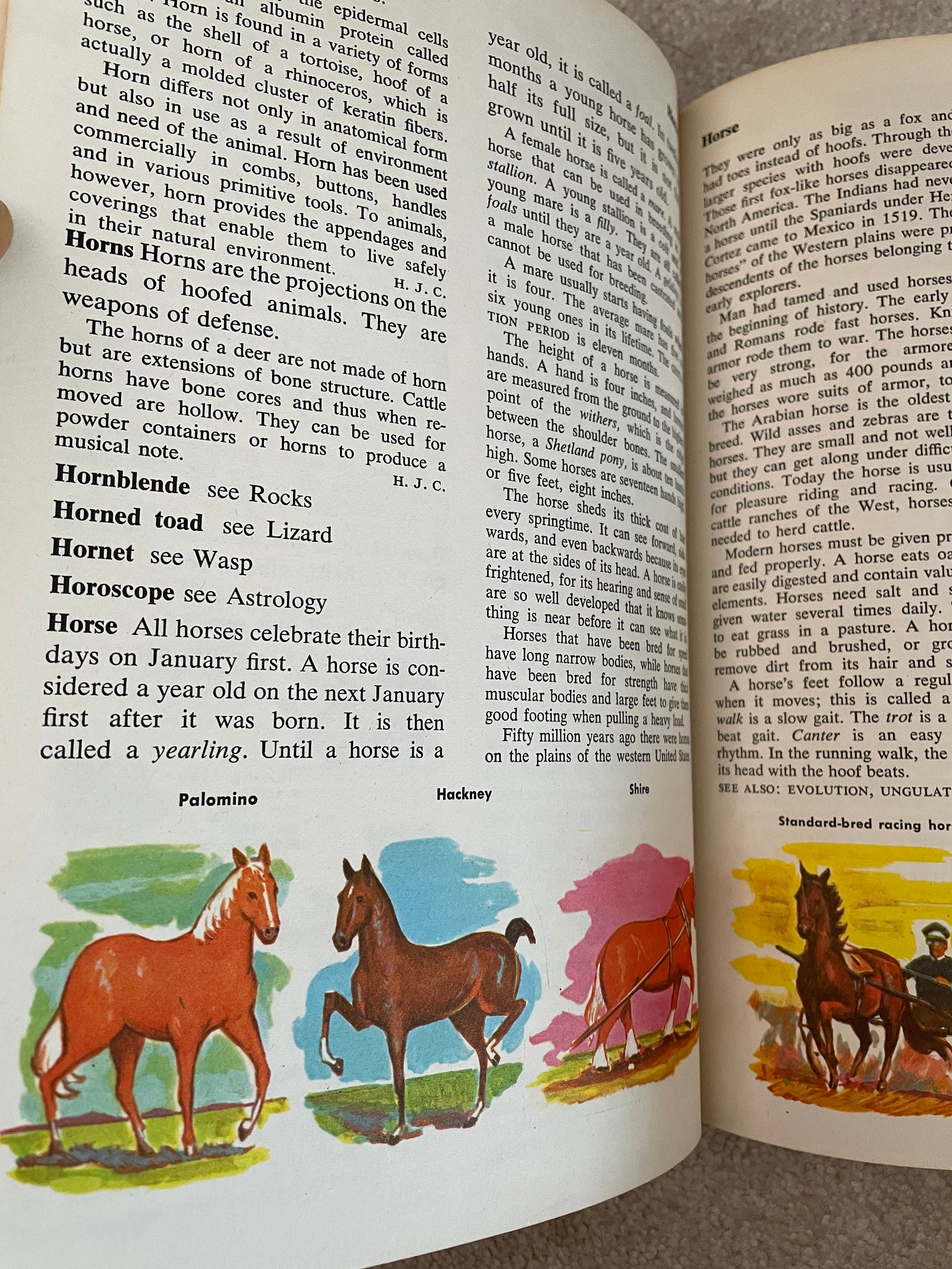 Vintage 1960s Book Hardcover 9 Gr in Young Peoples Science Encyclopedia ...