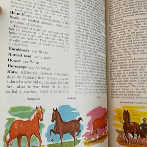 Vintage 1960s Book Hardcover 9 Gr - in Young Peoples Science ...