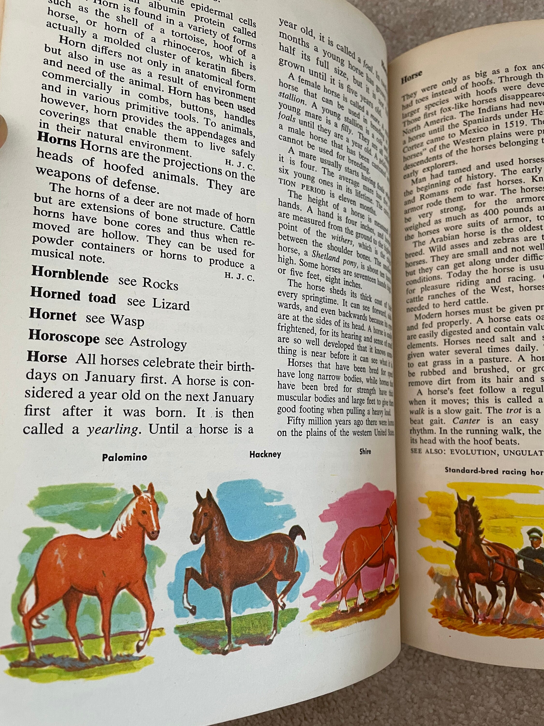 Vintage 1960s Book Hardcover 9 Gr in Young Peoples Science Encyclopedia ...