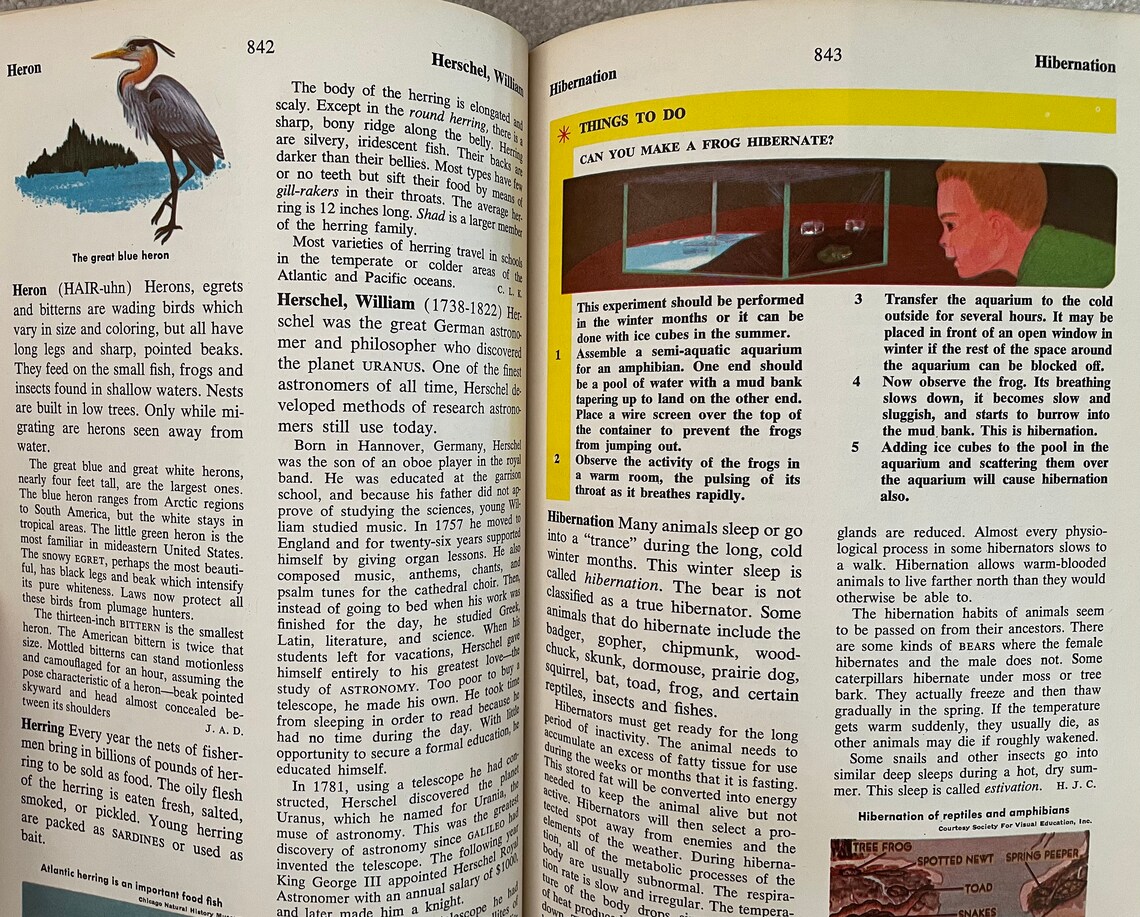 Vintage 1960s Book Hardcover 9 Gr in Young Peoples Science Encyclopedia ...