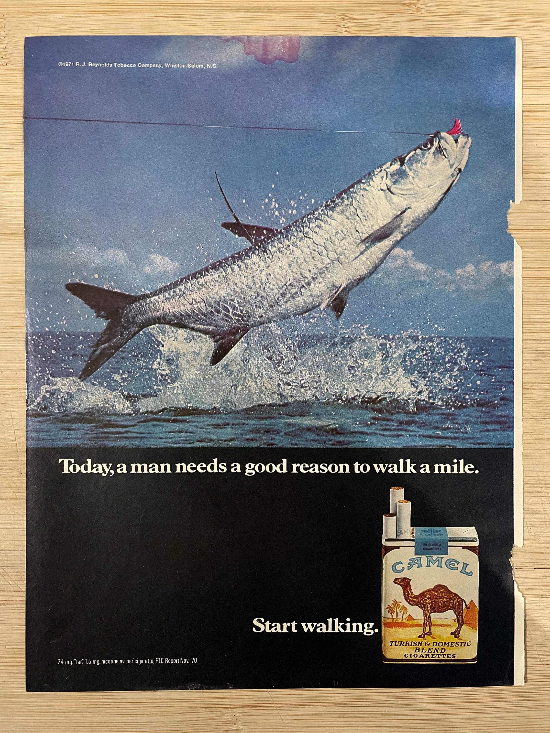 Vintage 1970s Camel Cigarettes 70s Fishing Fish Magazine Ad - Etsy