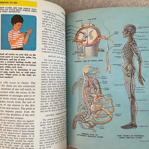 Vintage 1960s Book Hardcover 12 Mo - Oi Young Peoples Science ...