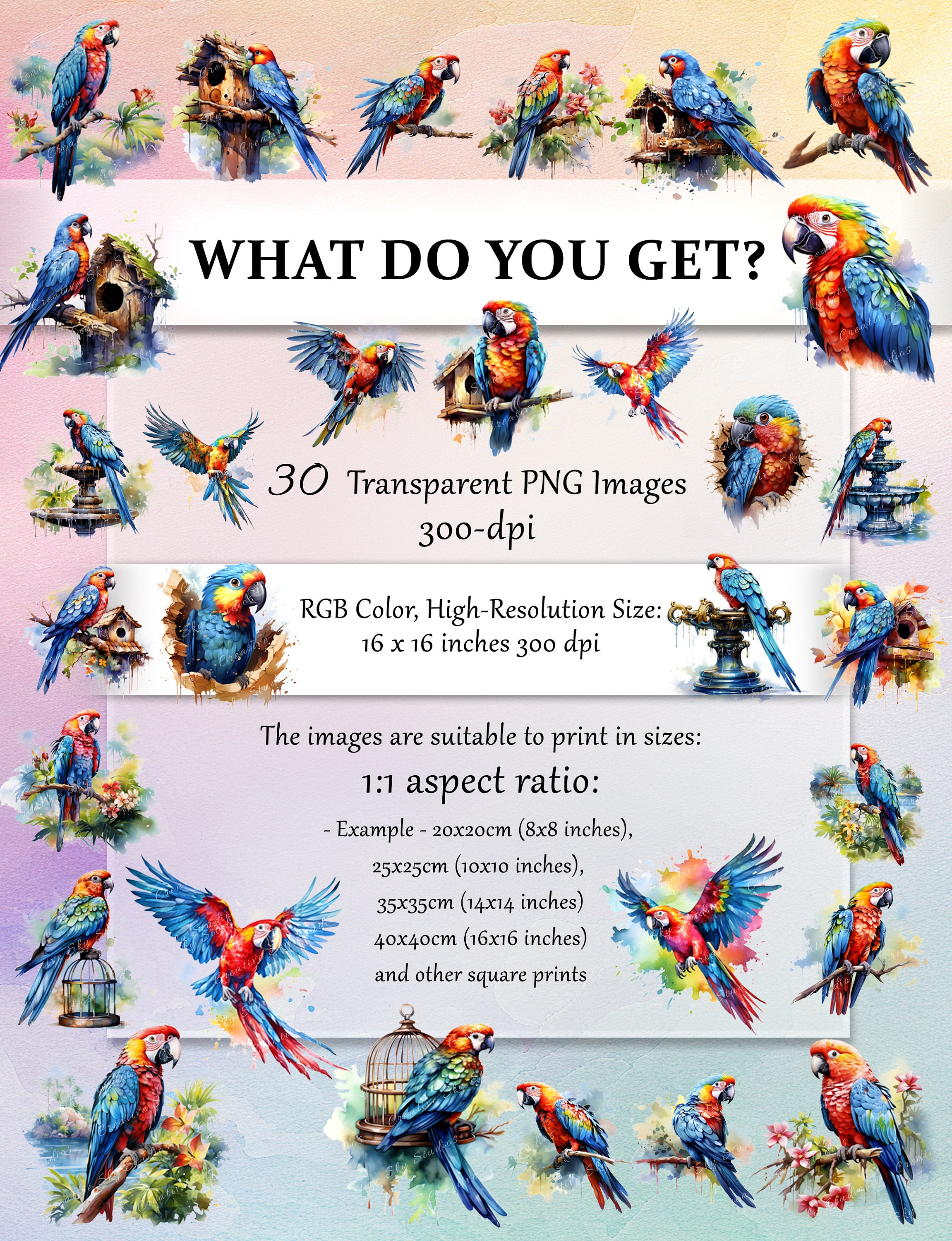 Vibrant Parrots Clipart Watercolor Parrot Printable Birds - Etsy